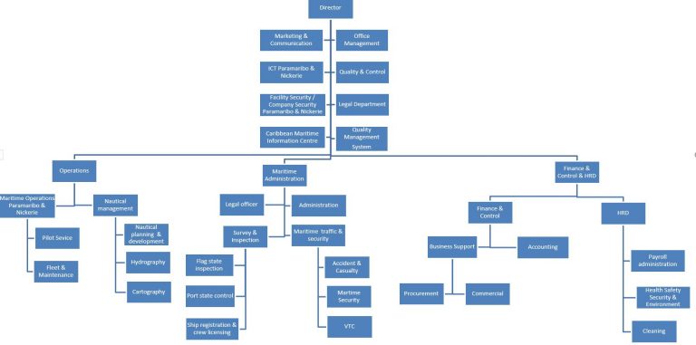 Organization Chart - MAS