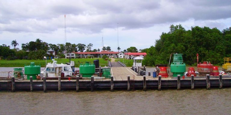 Shipping Notices - MAS